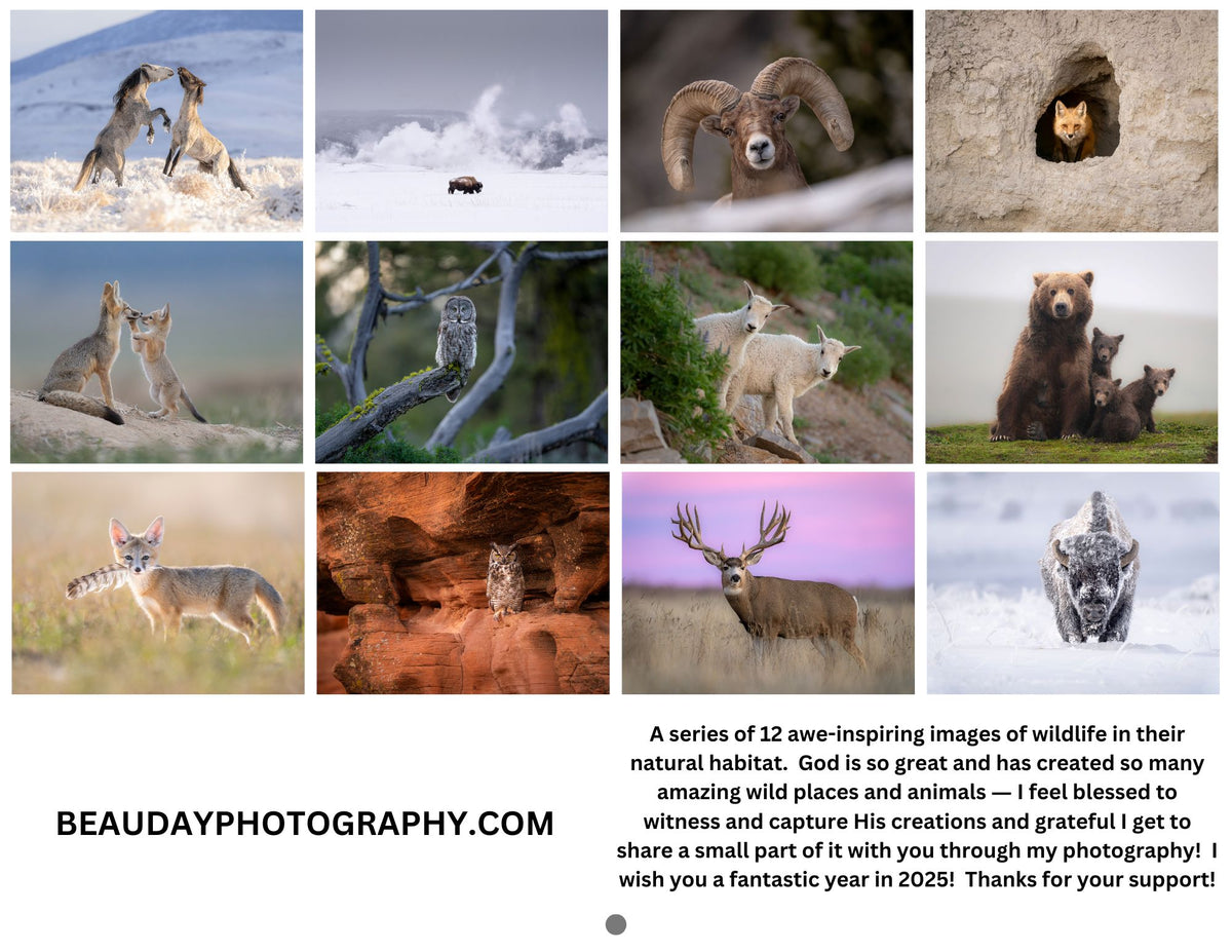2025 Wildlife Calendar – Beaudayphotography